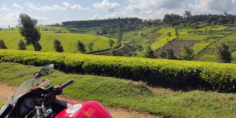 R is for Recovery and Riding - The ESSAY Magazine