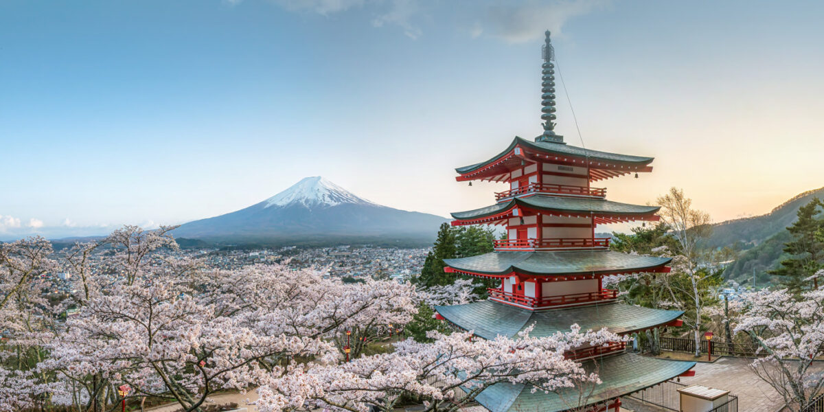 The Development of SA in Japan - The ESSAY Magazine